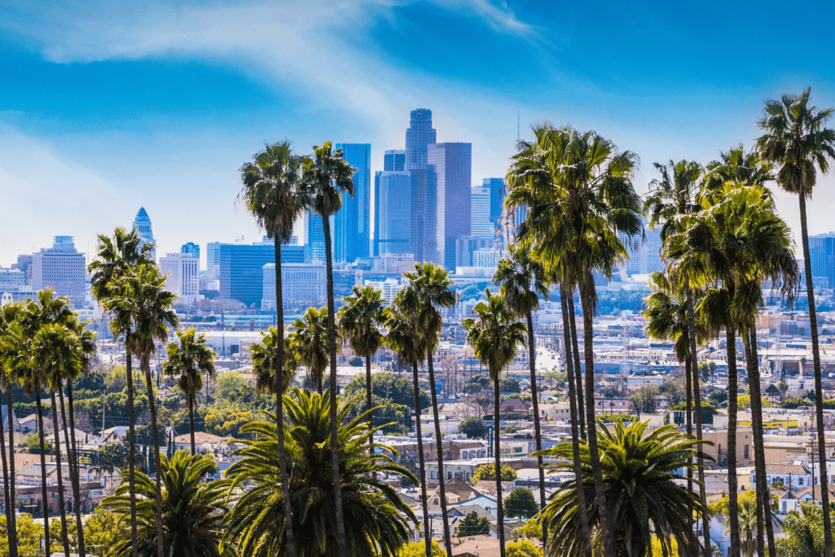 English summer camp in Los Angeles | Alpadia Language Schools